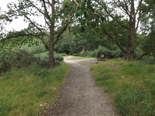 Oxshott Heath