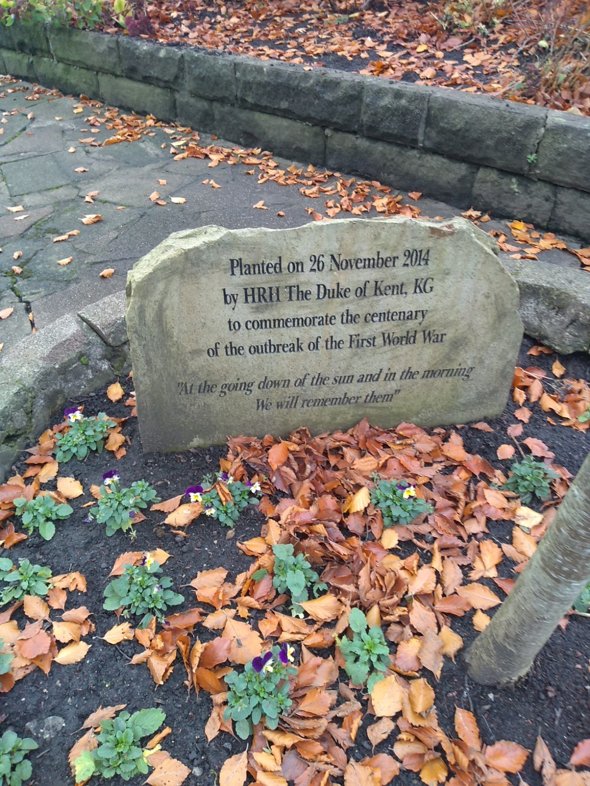 Clitheroe Memorial Tree