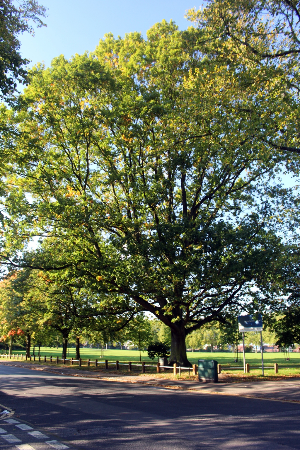 Spencer Park Cenotaph memorial plaque - War Memorials Online