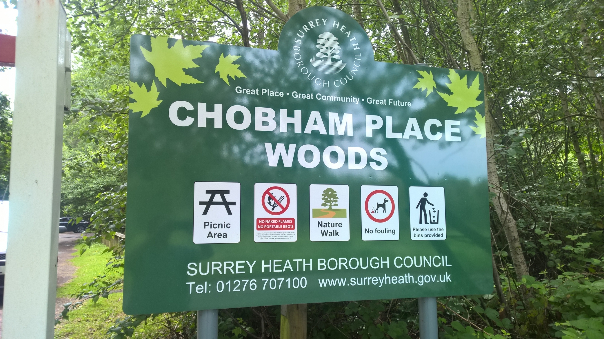 Chobham Place Woods