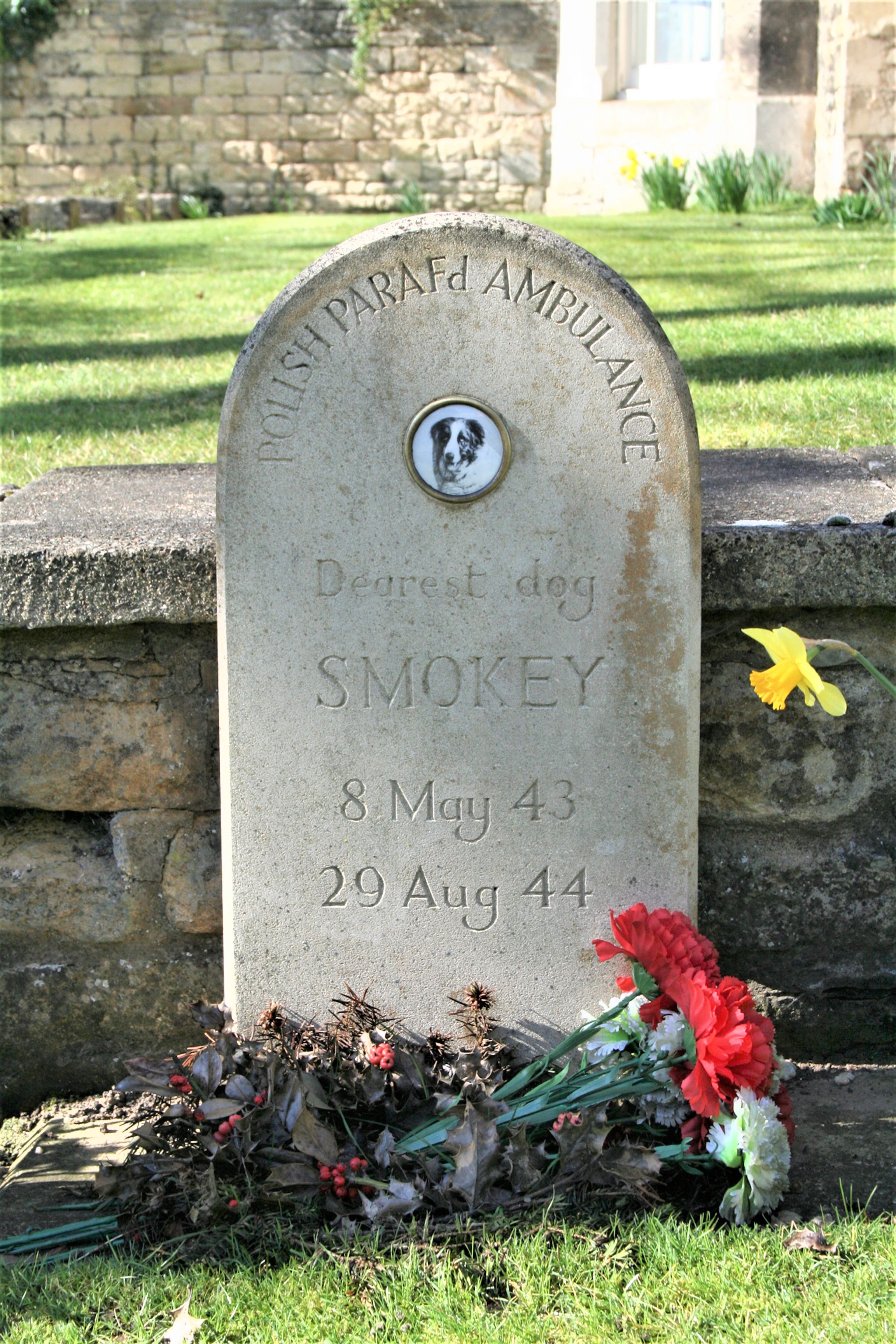 Stamford - Smokey the Dog