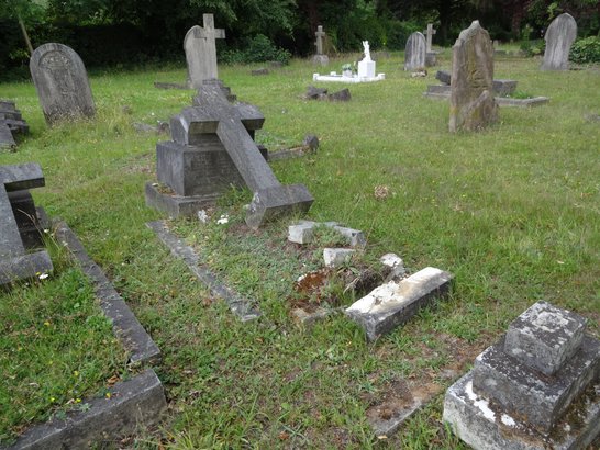 Lieutenant Reginald Hinton Louis