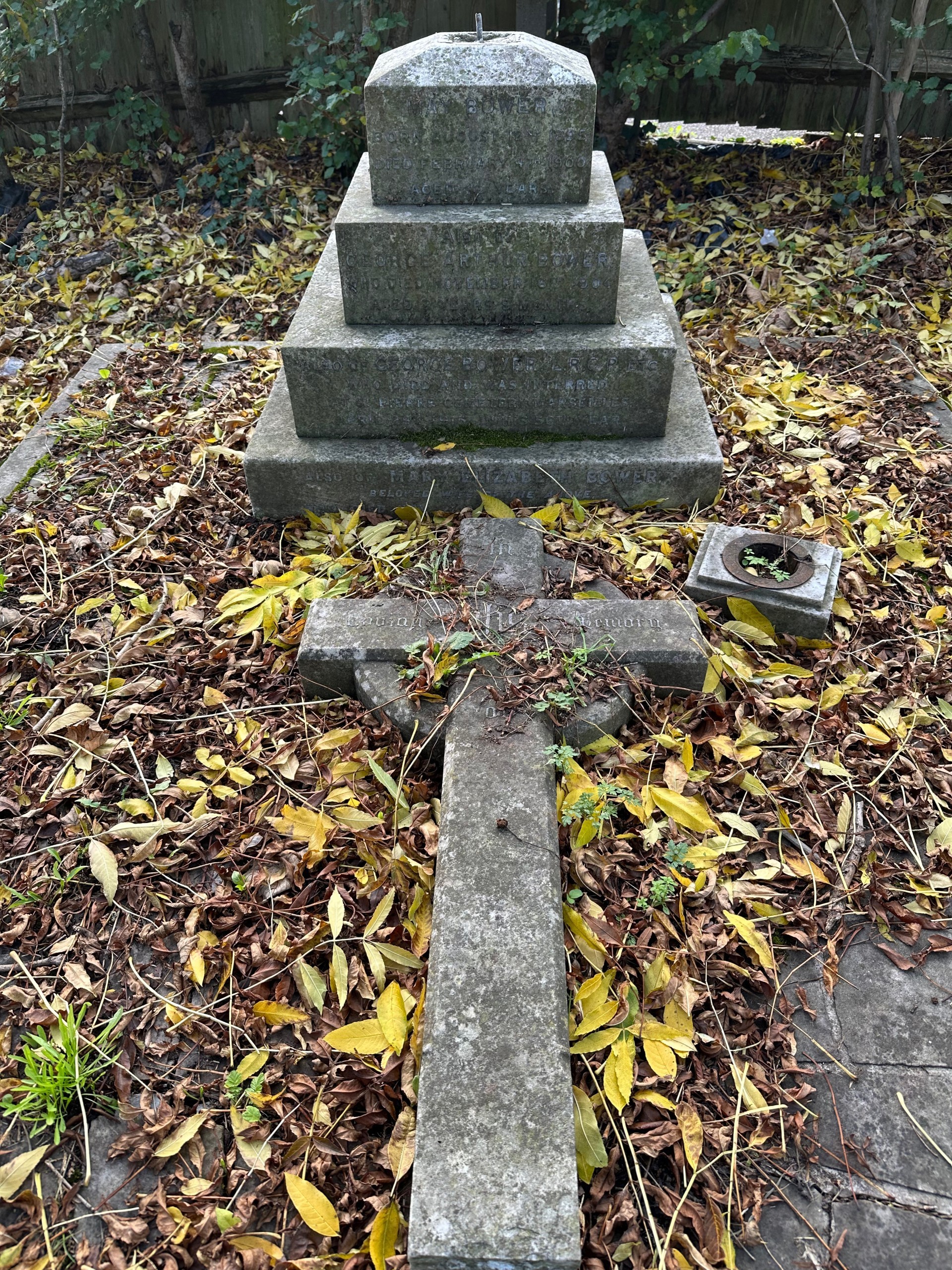 George Bower