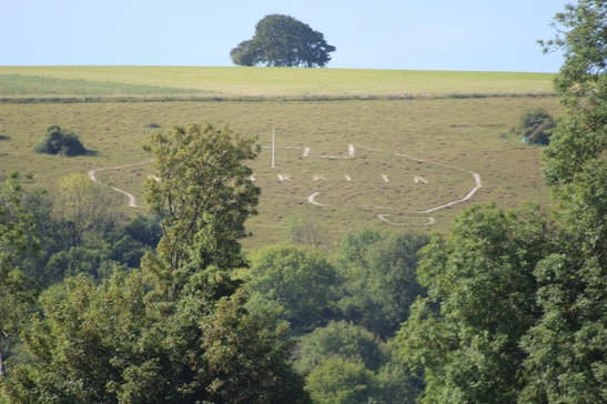 FOVANT BADGE - MAP OF AUSTRALIA (FADING)